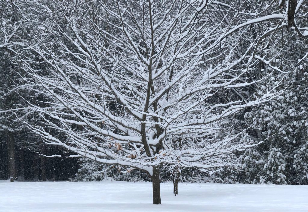 The Most Comforting Meal of the Year - Phil Bean