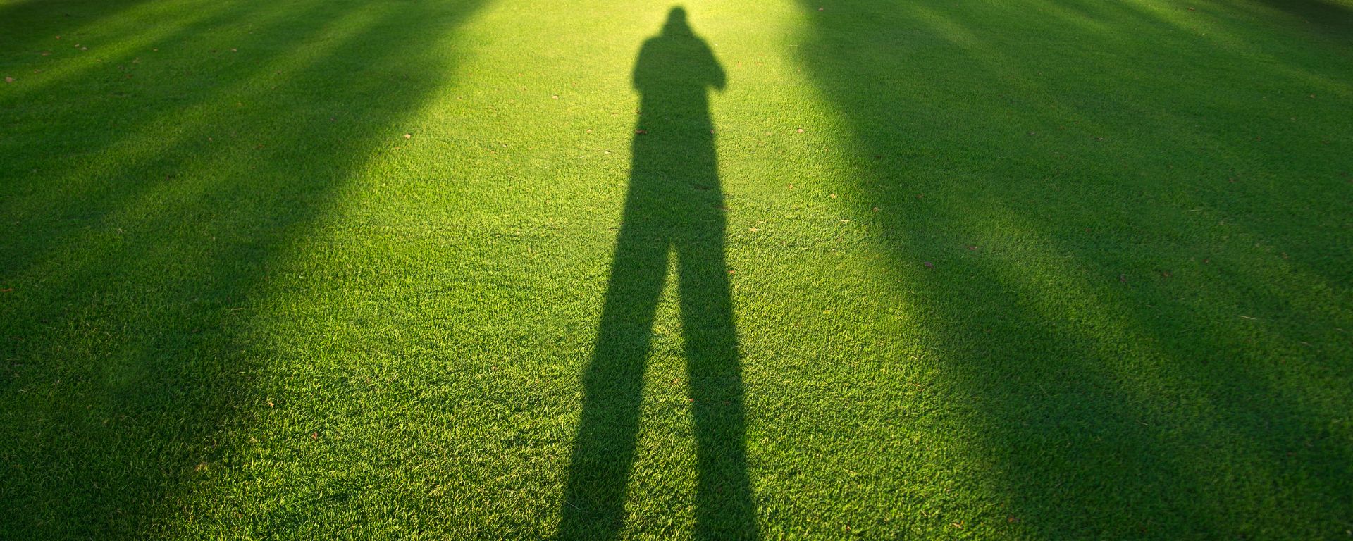The Long, Long Shadow - Phil Bean